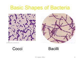 4)Microbial Control Methods Unit-II 2.pptx