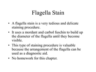 4_Microscopy_9_12_06.ppt