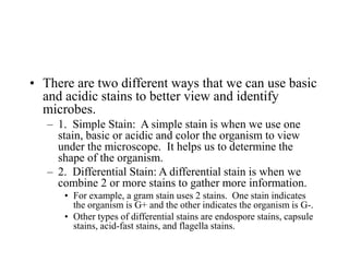 4_Microscopy_9_12_06.ppt