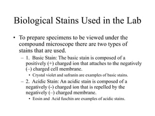 4_Microscop for medical laboratory science.ppt