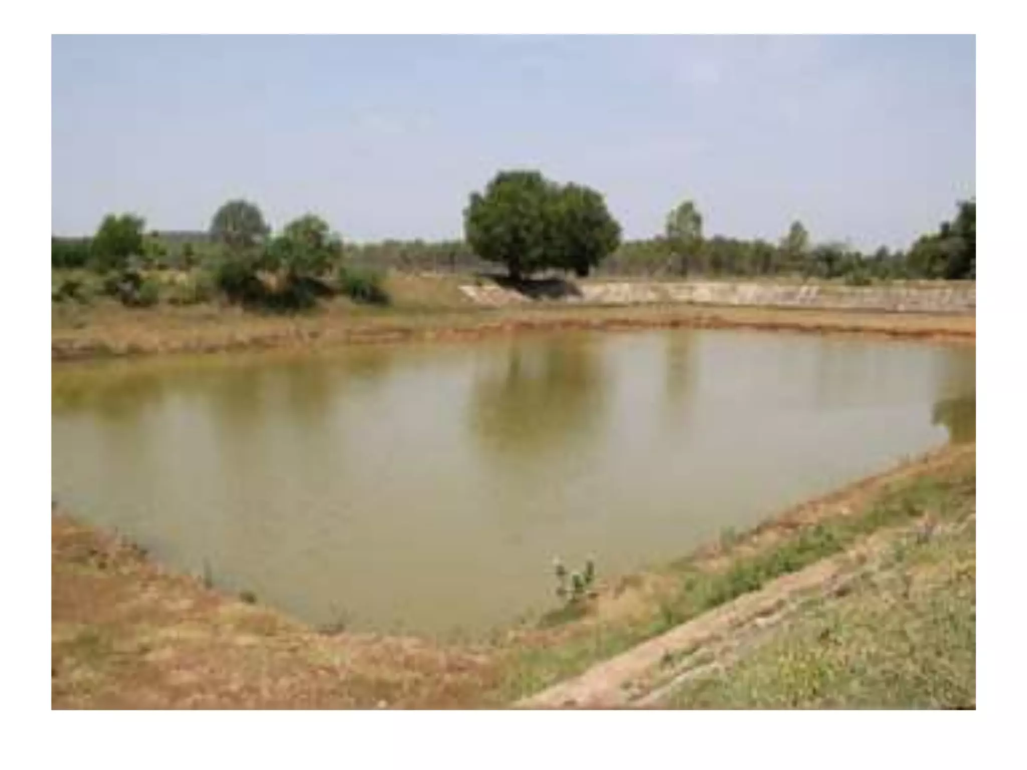 minor and micro irrigation | PPTX