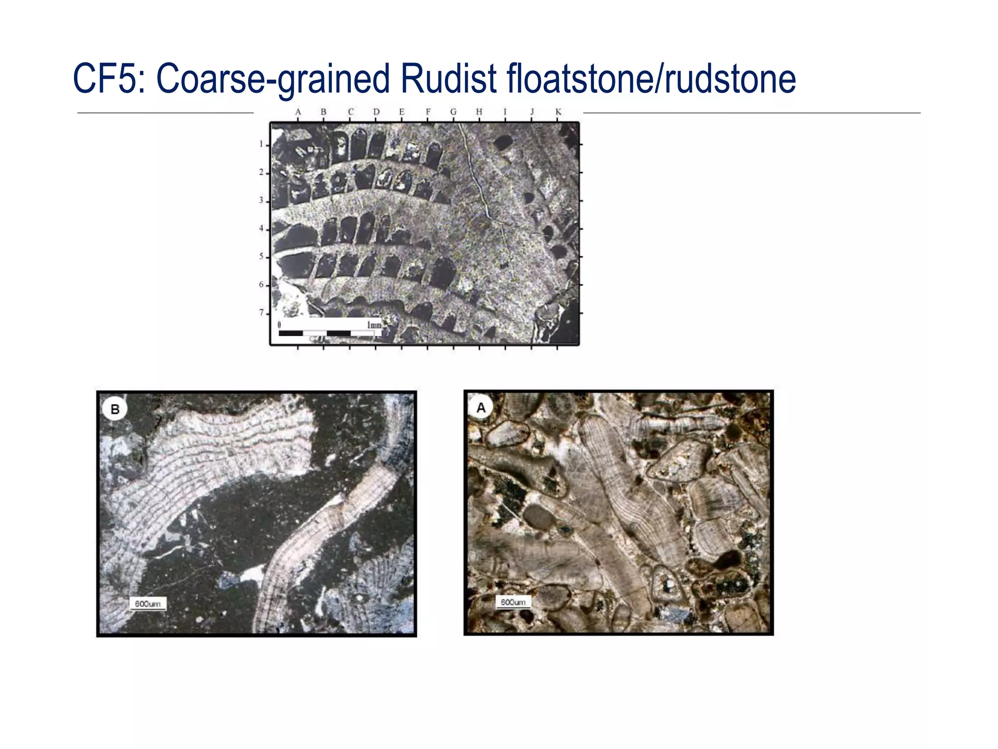 MKB Integrated Development Plan | PPTX
