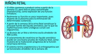 4 modif anatomofisiologicas en el feto, historia clinica, examen fisico ...