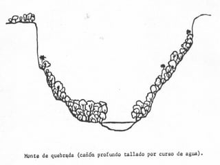 4 monte de quebrada | PPT