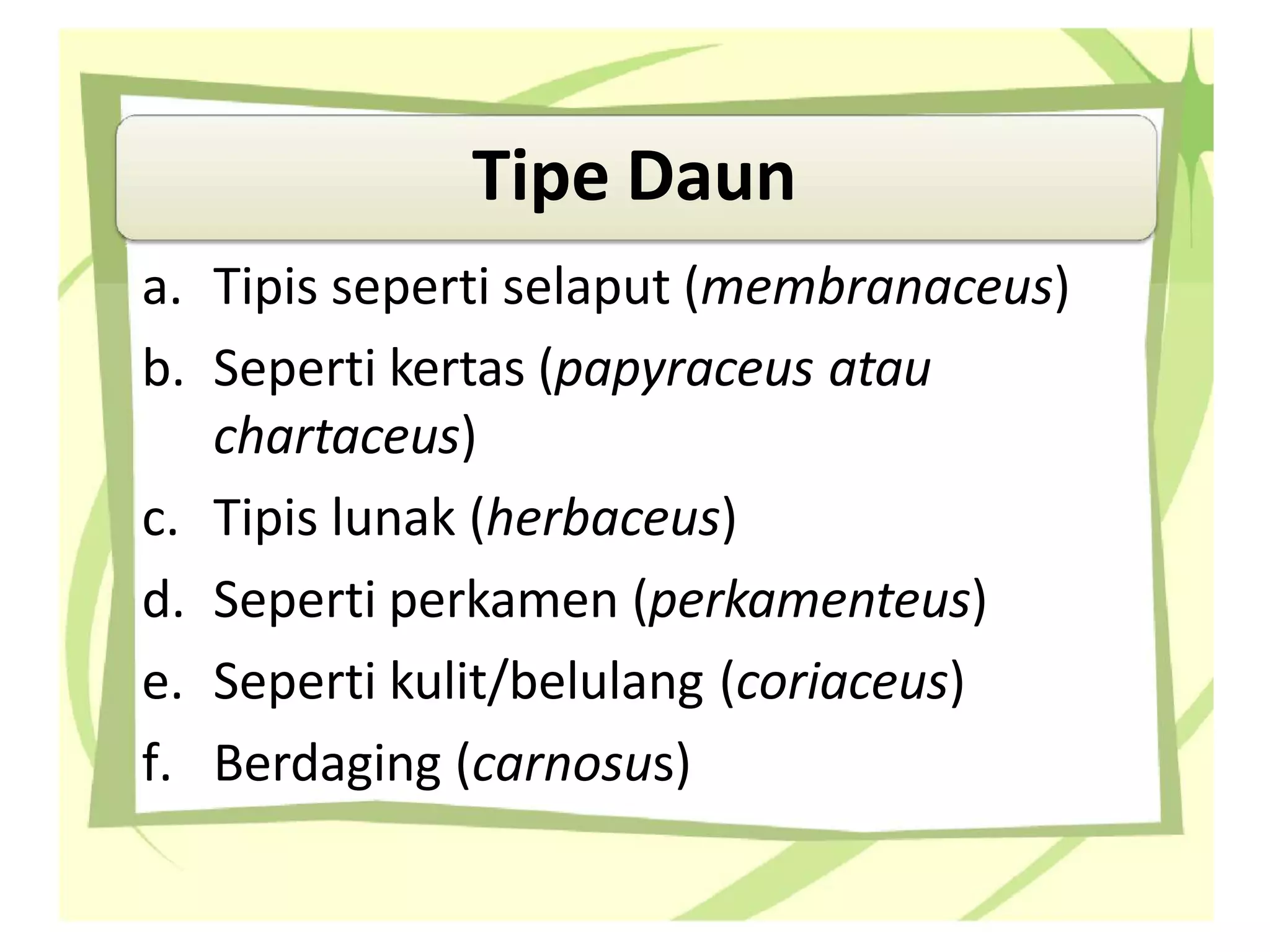 4 Morfologi Daun.pptx