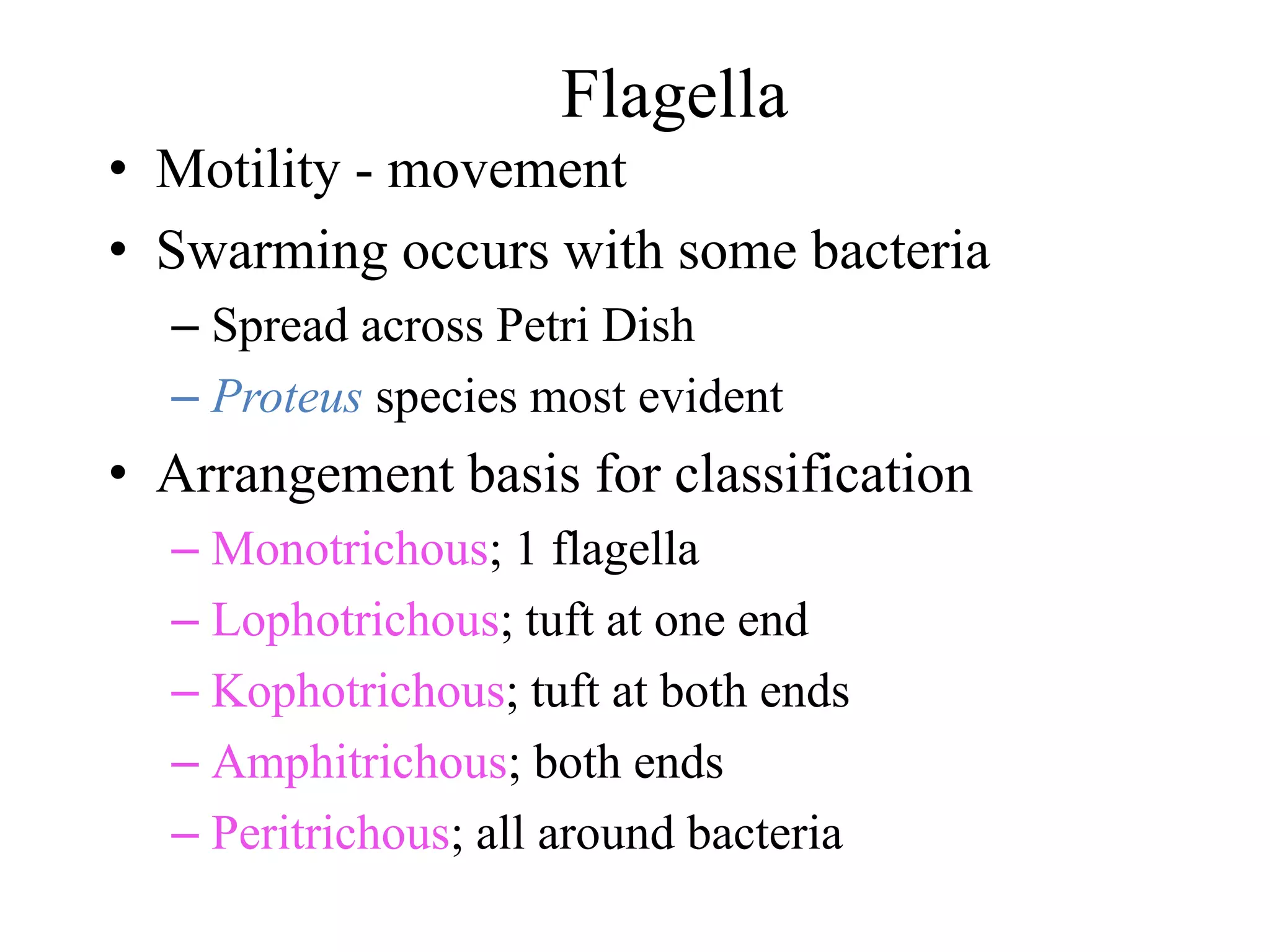 Morphology of bacteria | PPT
