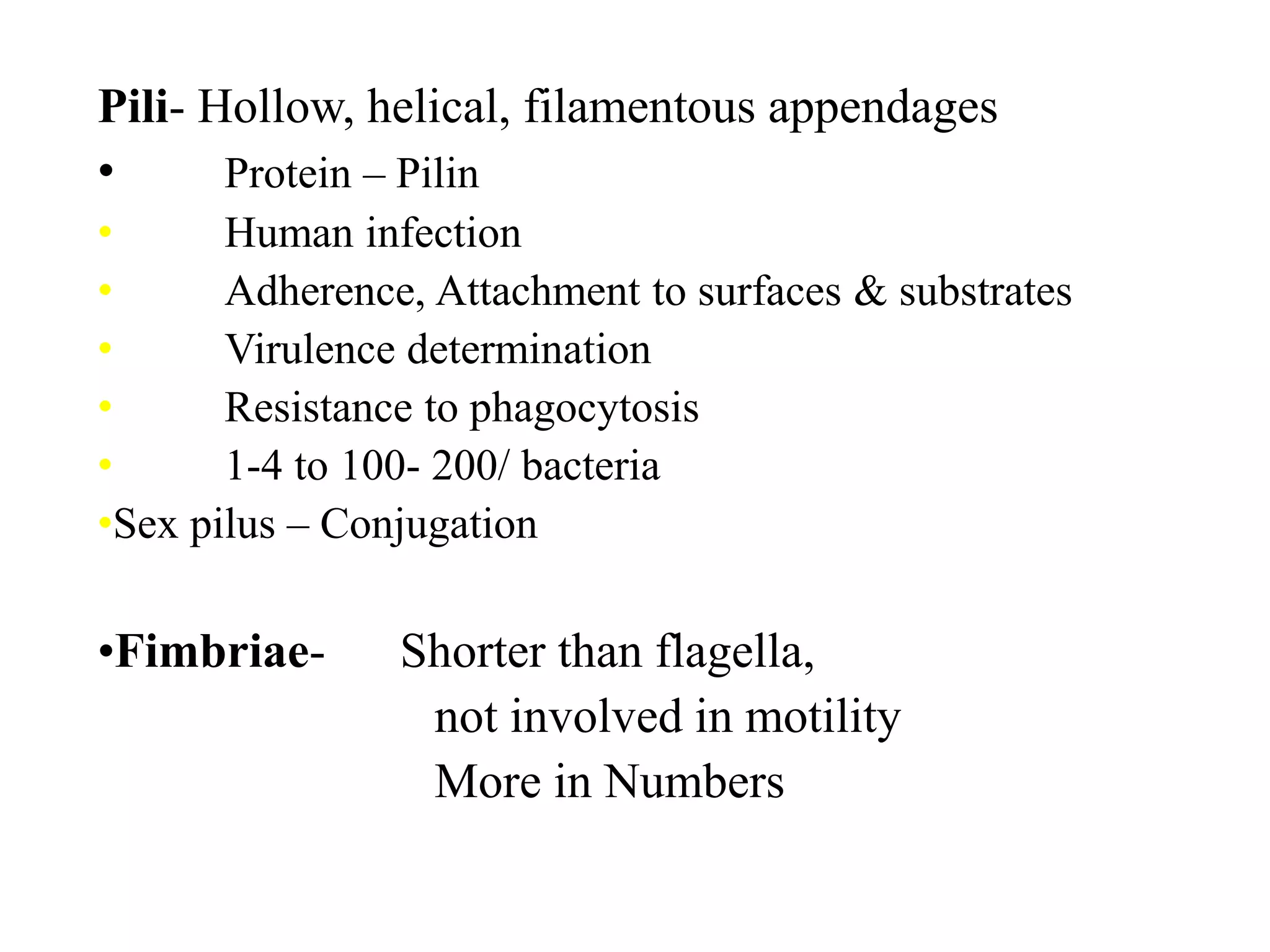 Morphology of bacteria | PPT