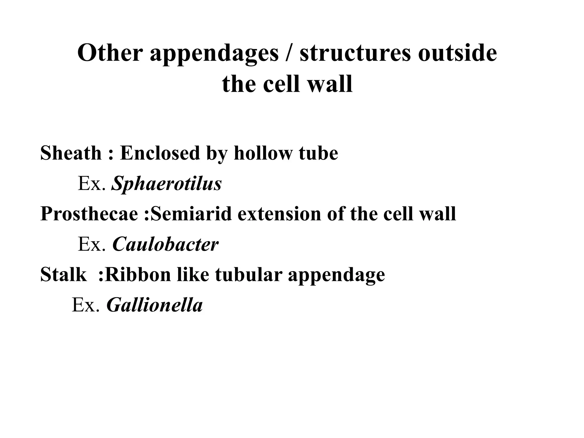 Morphology of bacteria | PPT