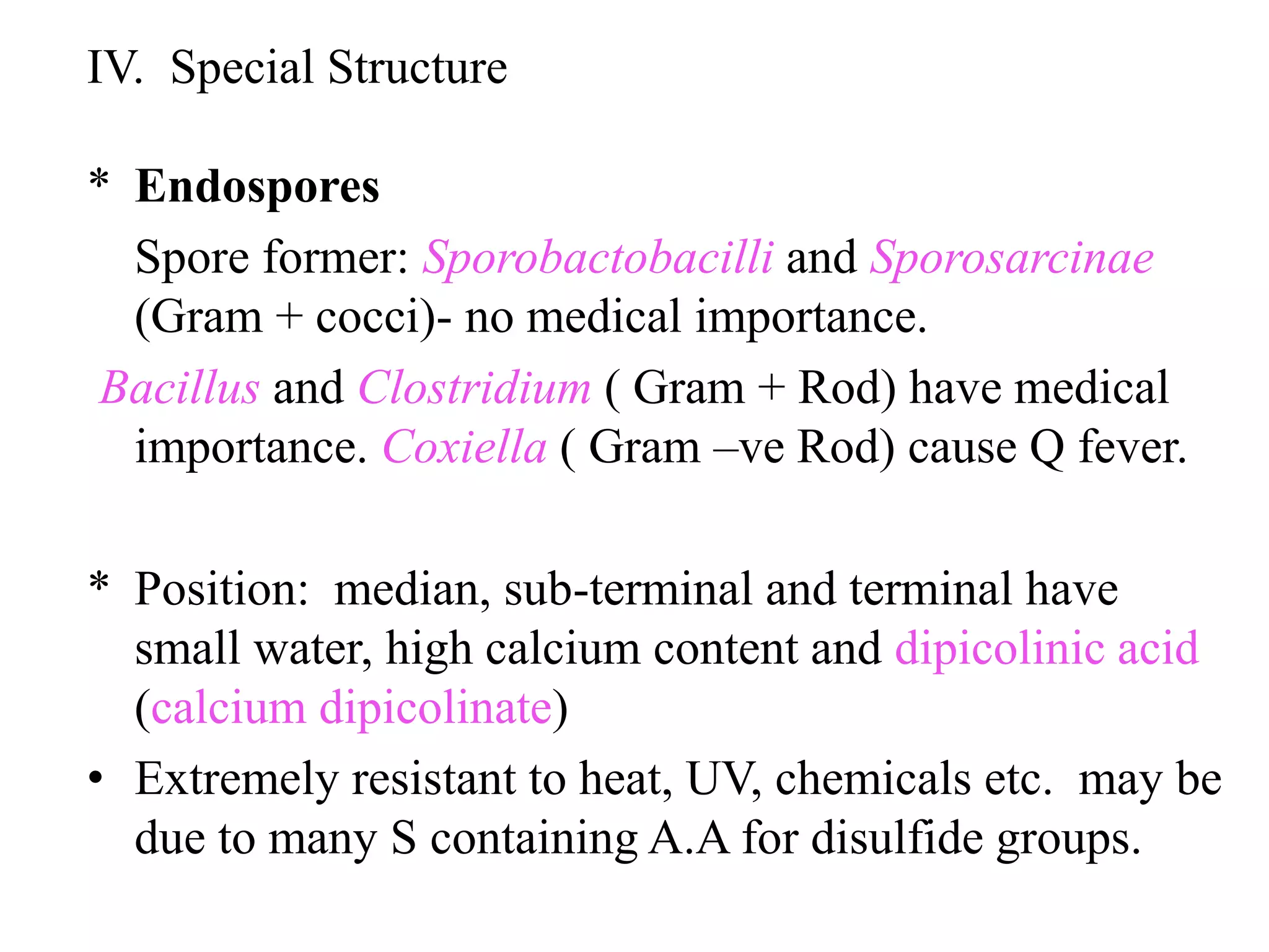 Morphology of bacteria | PPT