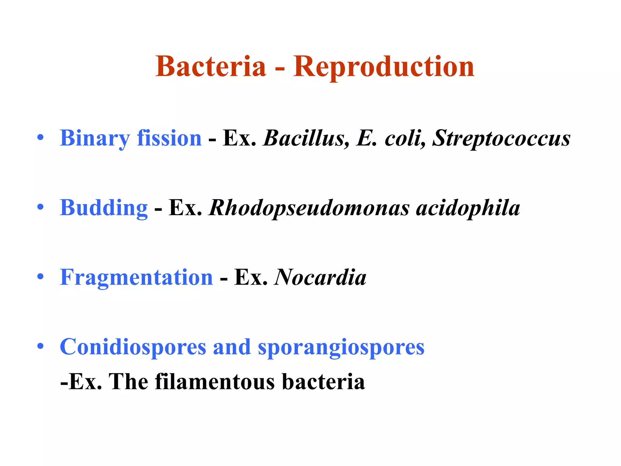 Morphology of bacteria | PPT