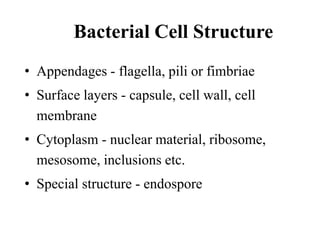 Morphology of bacteria | PPT