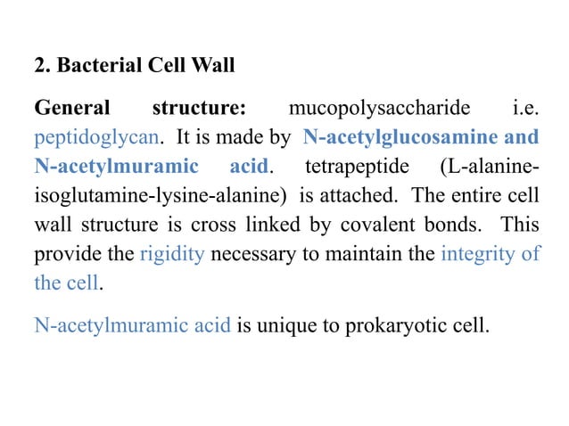 Morphology of bacteria | PPT | Biological Sciences | Science