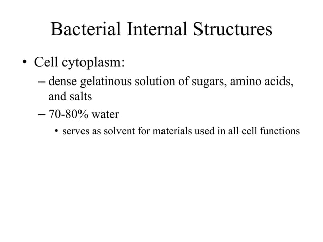 Morphology of bacteria | PPT | Biological Sciences | Science