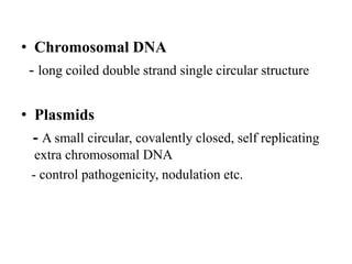 Morphology of bacteria | PPT