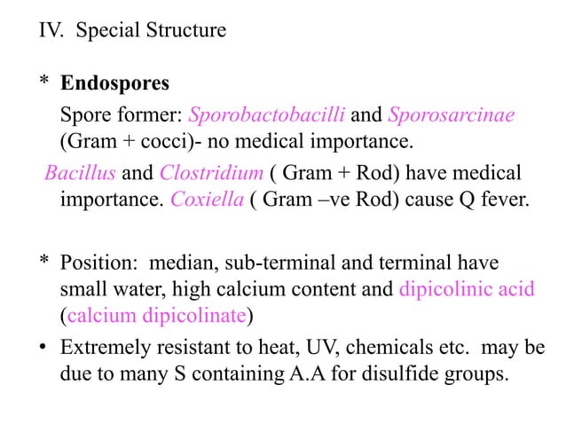 Morphology of bacteria | PPT | Biological Sciences | Science