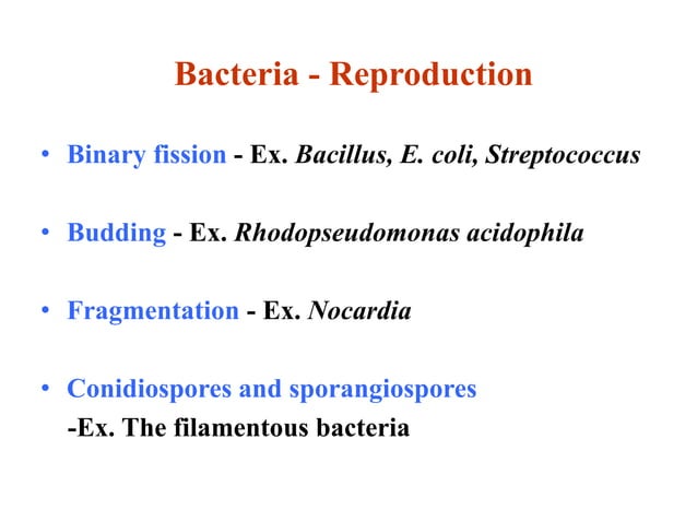 Morphology of bacteria | PPT | Biological Sciences | Science