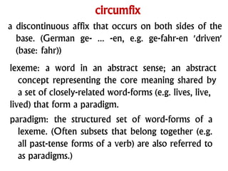 4 morphology terms | PPT
