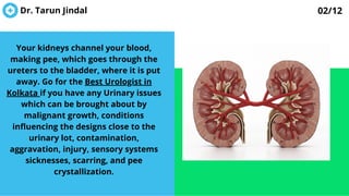 4 Most Common Diseases of the Urinary System | PDF | Medical Health
