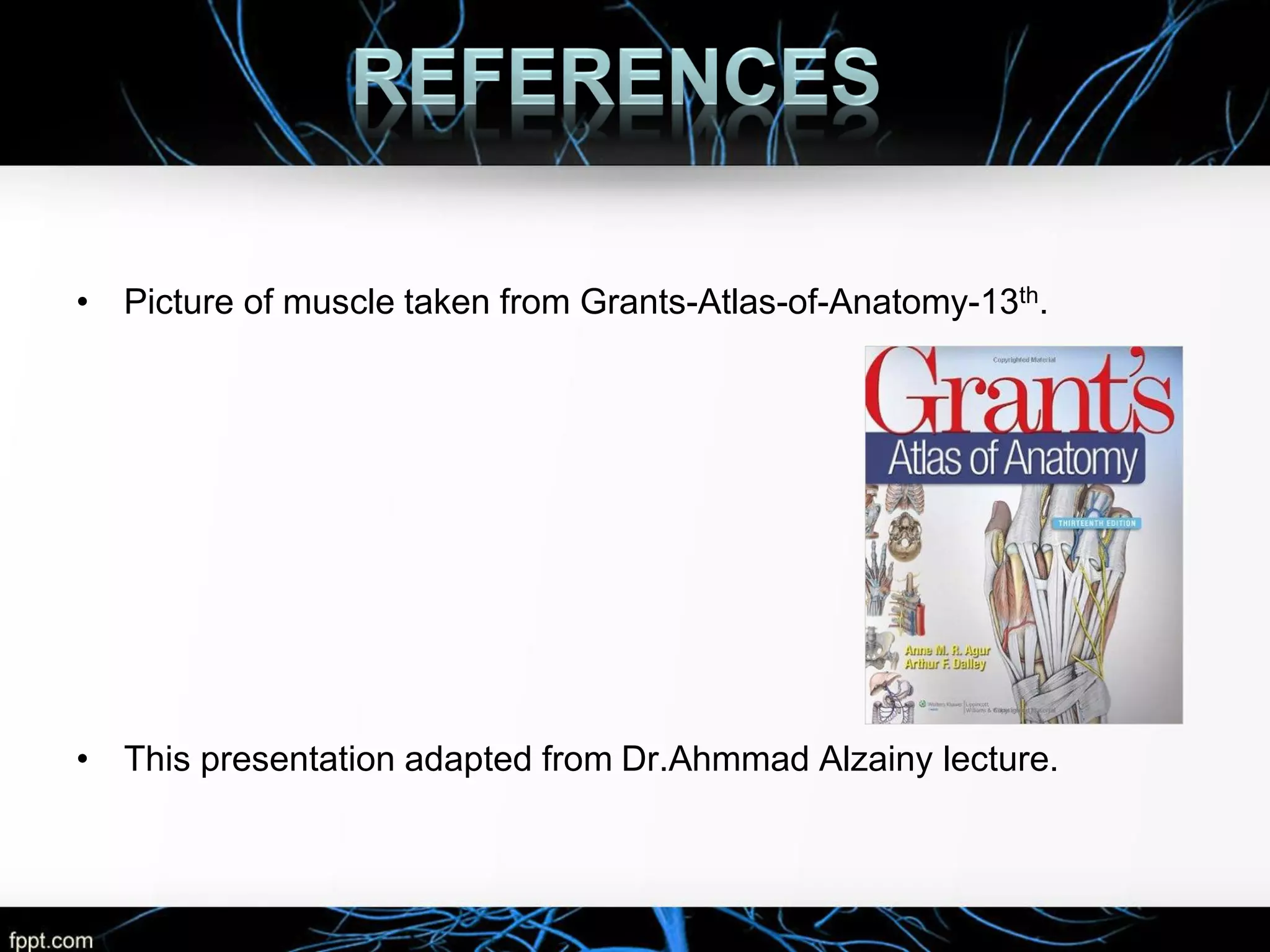 Brachial Plexus Injuries by rayan alhumaid | PDF