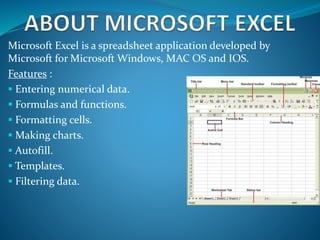 4 ms office packages | PPTX