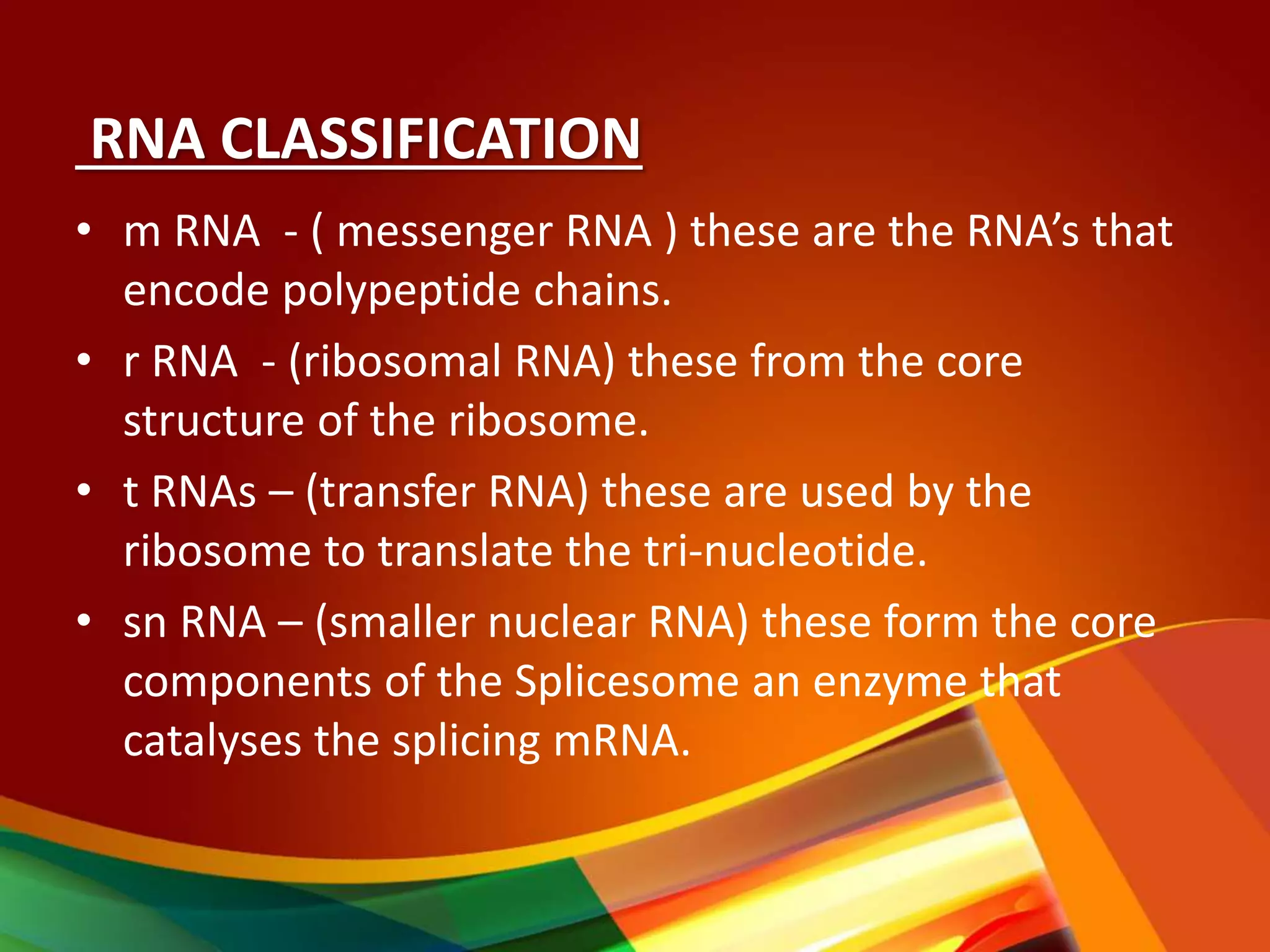 DNA AND RNA BASED TAXONOMY OF ANIMALS | PPTX | Biological Sciences ...