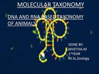 DNA AND RNA BASED TAXONOMY OF ANIMALS | PPTX | Biological Sciences ...