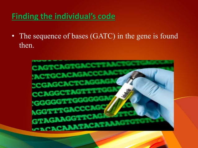 DNA AND RNA BASED TAXONOMY OF ANIMALS | PPTX | Biological Sciences ...
