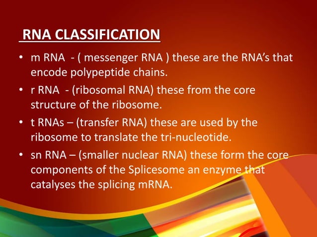 DNA AND RNA BASED TAXONOMY OF ANIMALS | PPTX | Biological Sciences ...