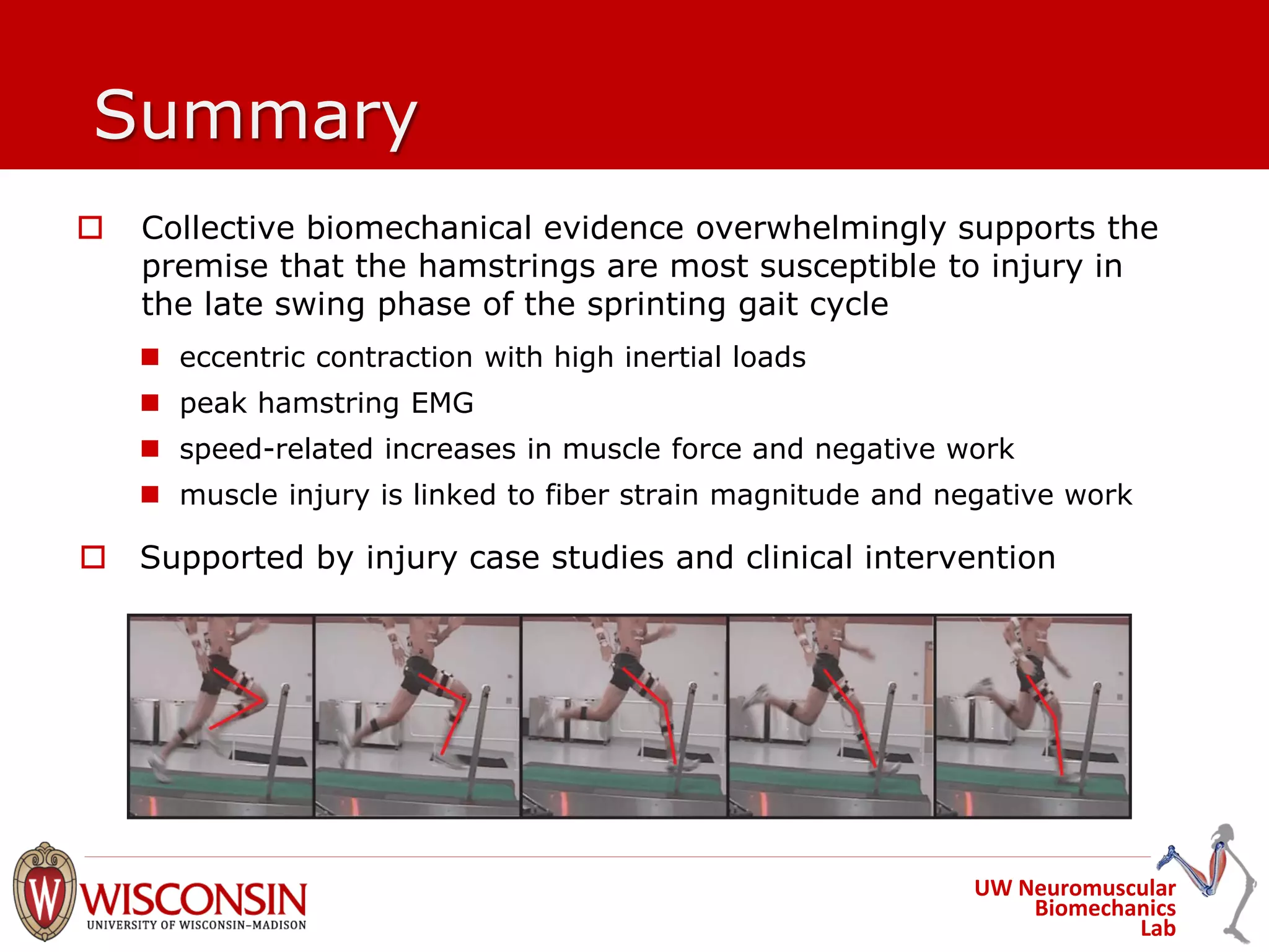 Bryan Heiderscheit _hamstring-mechanics | PDF