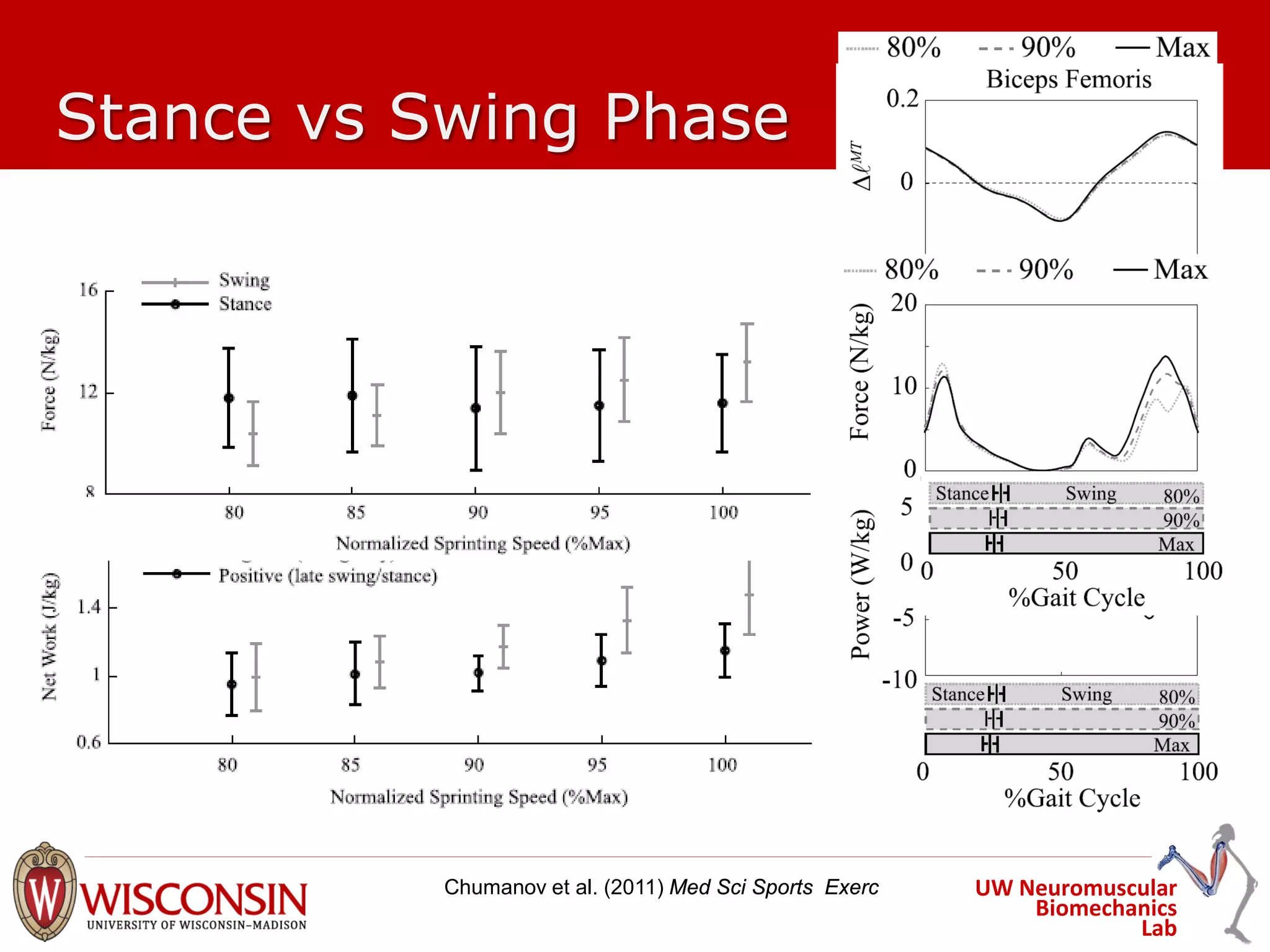 Bryan Heiderscheit _hamstring-mechanics | PDF