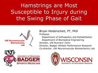 Bryan Heiderscheit _hamstring-mechanics | PDF