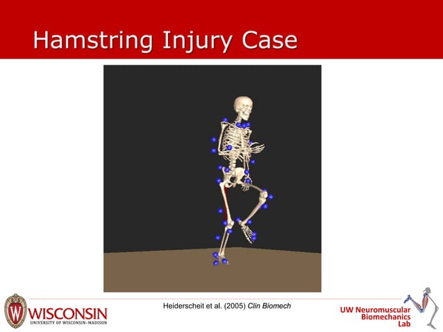 Bryan Heiderscheit _hamstring-mechanics | PPT