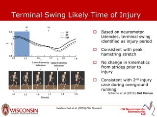 Bryan Heiderscheit _hamstring-mechanics | PDF