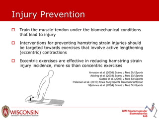 Bryan Heiderscheit _hamstring-mechanics | PDF