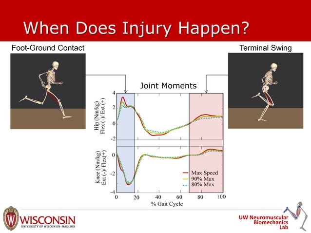 Bryan Heiderscheit _hamstring-mechanics | PPT