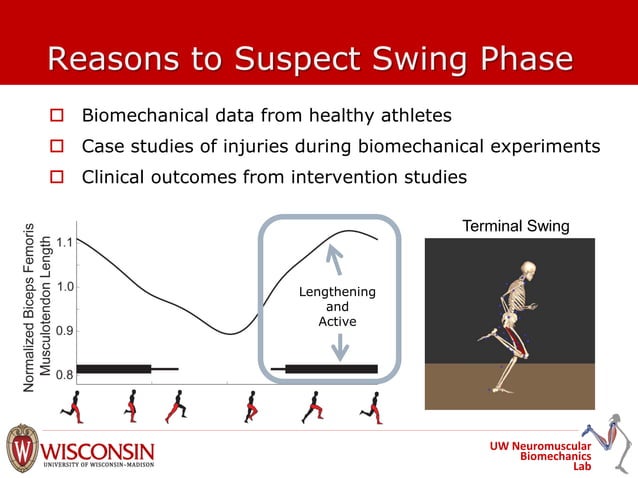 Bryan Heiderscheit _hamstring-mechanics | PPT