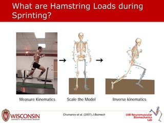 Bryan Heiderscheit _hamstring-mechanics | PDF