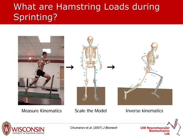 Bryan Heiderscheit _hamstring-mechanics | PPT
