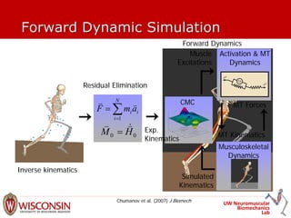 Bryan Heiderscheit _hamstring-mechanics | PDF