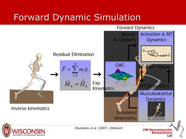Bryan Heiderscheit _hamstring-mechanics | PPT