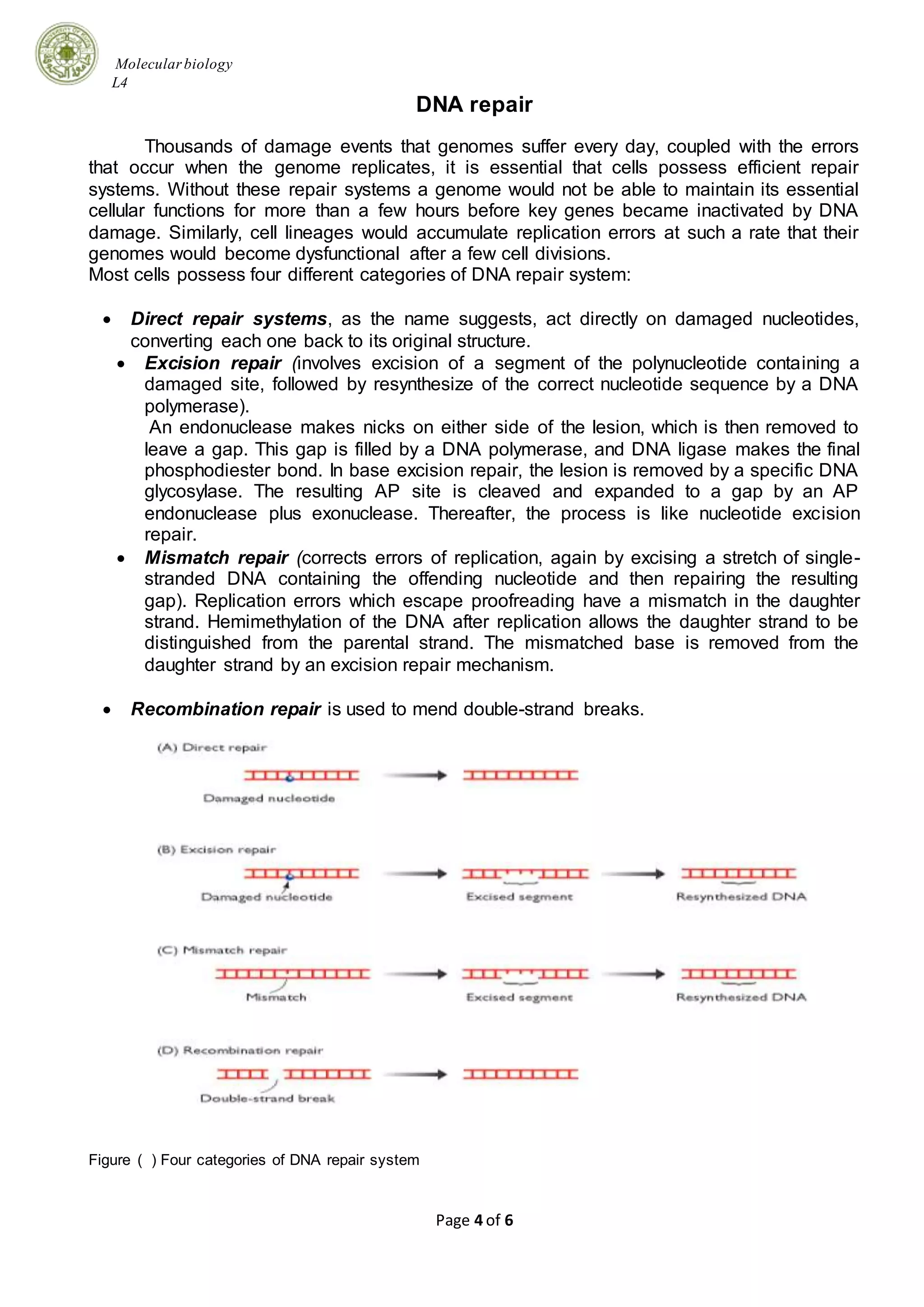 mutation recombination and transposition | PDF