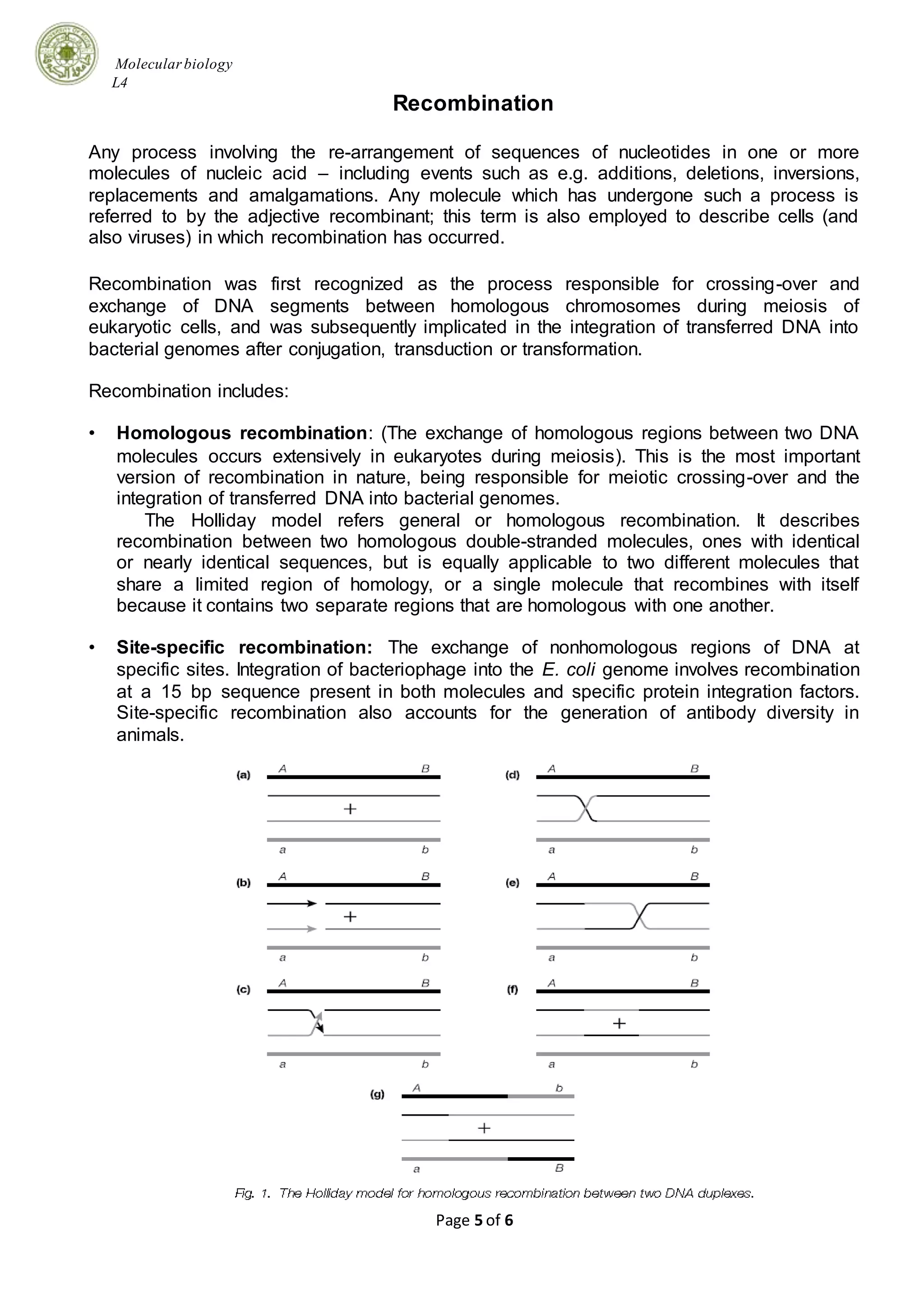 mutation recombination and transposition | PDF