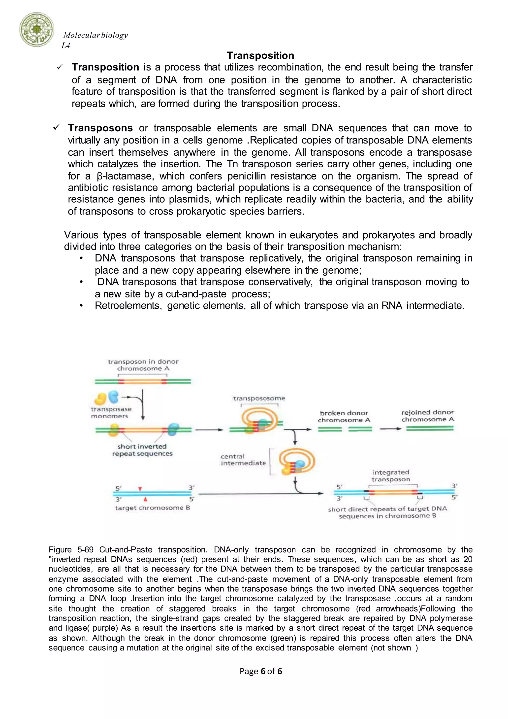 mutation recombination and transposition | PDF
