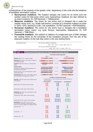 mutation recombination and transposition | PDF
