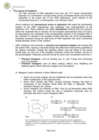 mutation recombination and transposition | PDF