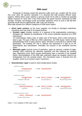 mutation recombination and transposition | DOC