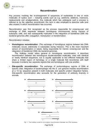 mutation recombination and transposition | PDF