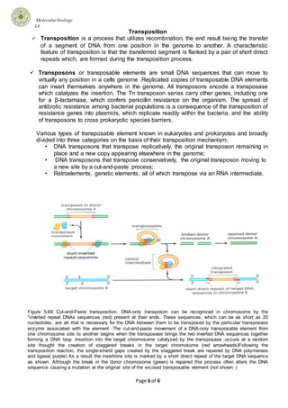 mutation recombination and transposition | PDF