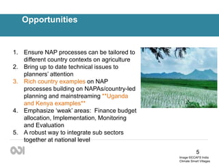 NAP Agriculture Technical Guidelines: Approach, Opportunities and ...