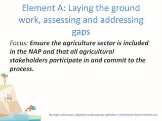 NAP Agriculture Technical Guidelines: Approach, Opportunities and ...
